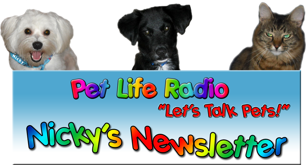 Pet Life Radio June Newsletter - Party Like A Pup Star!